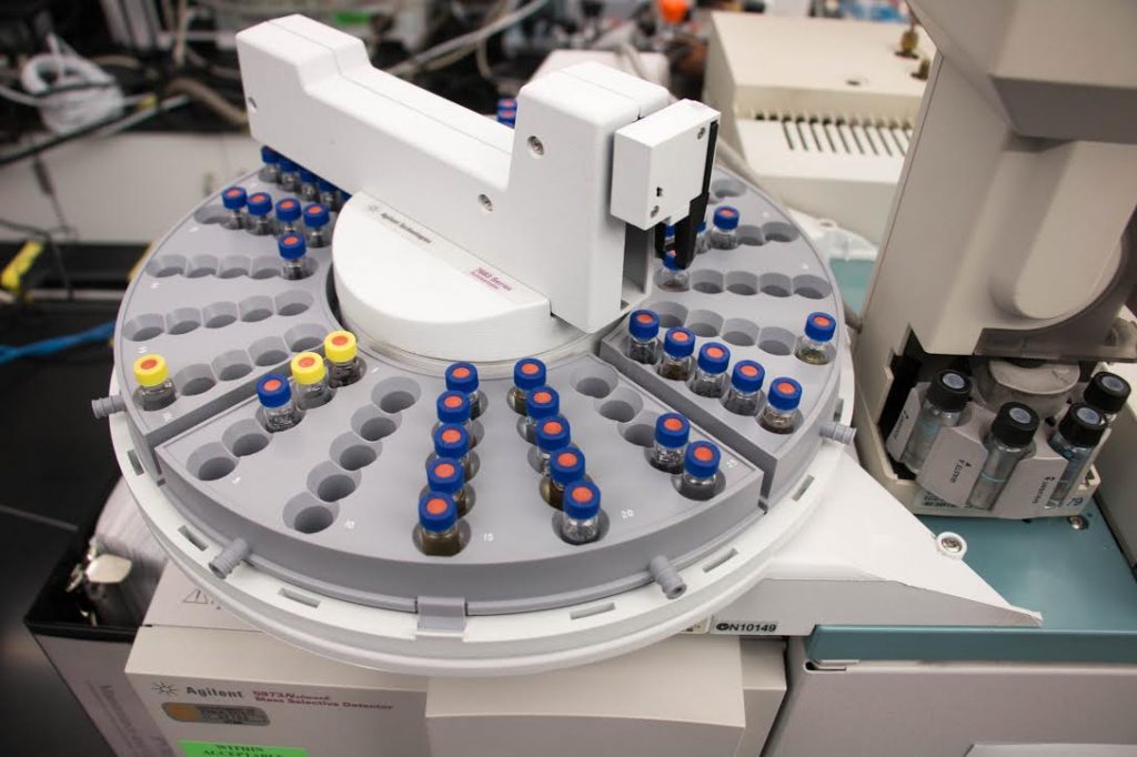 DPS Celebrates Forensic Science Week | DPS News