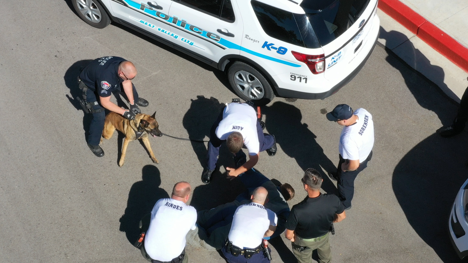 POST Conducts Introduction to K9 Course | DPS News